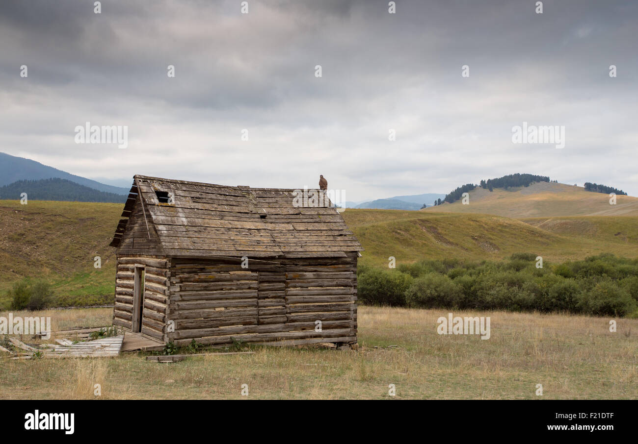 Golden eagle on an old barn with beautiful landscape Stock Photo - Alamy