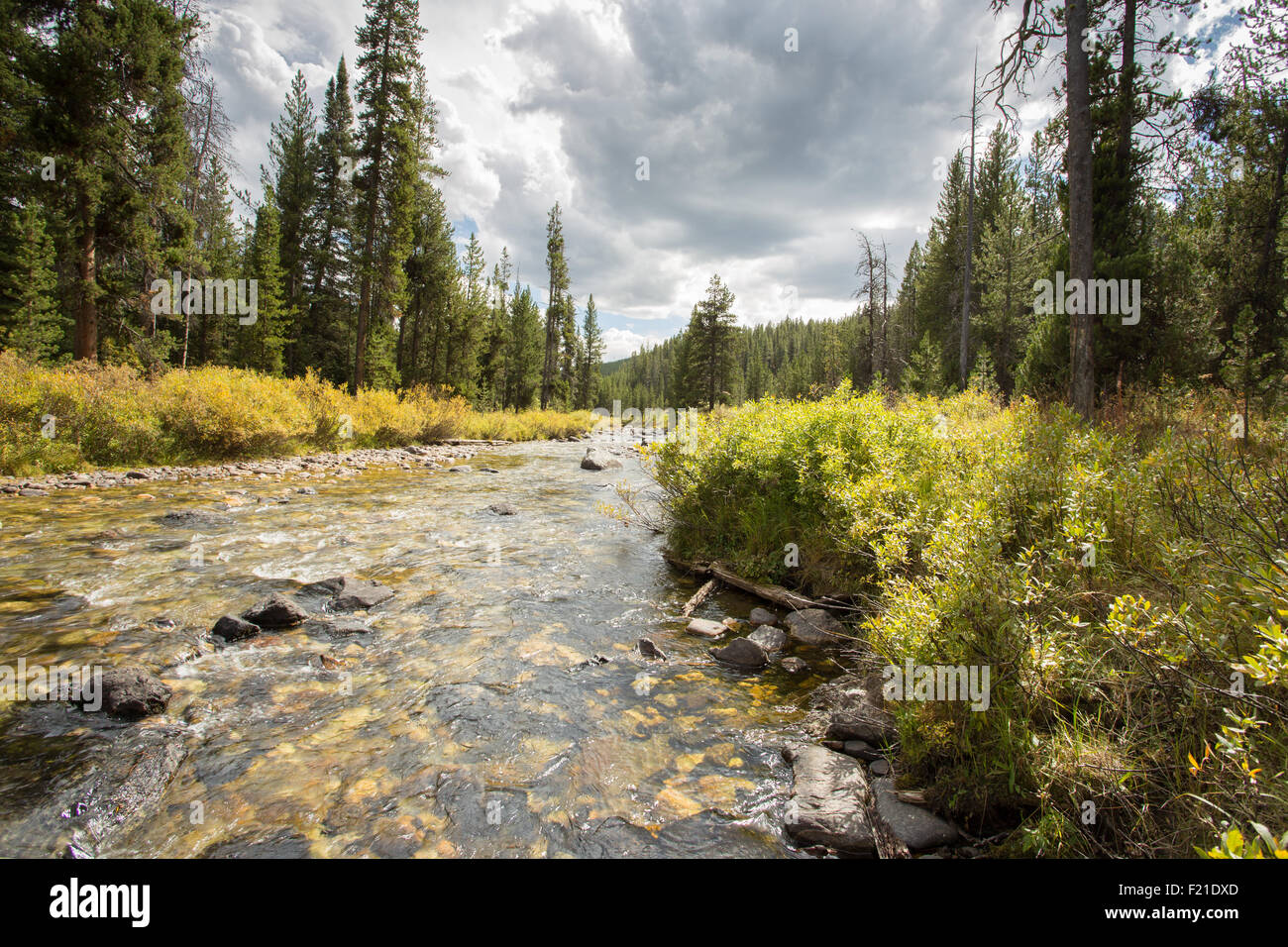Surrounded by river water hi-res stock photography and images - Alamy