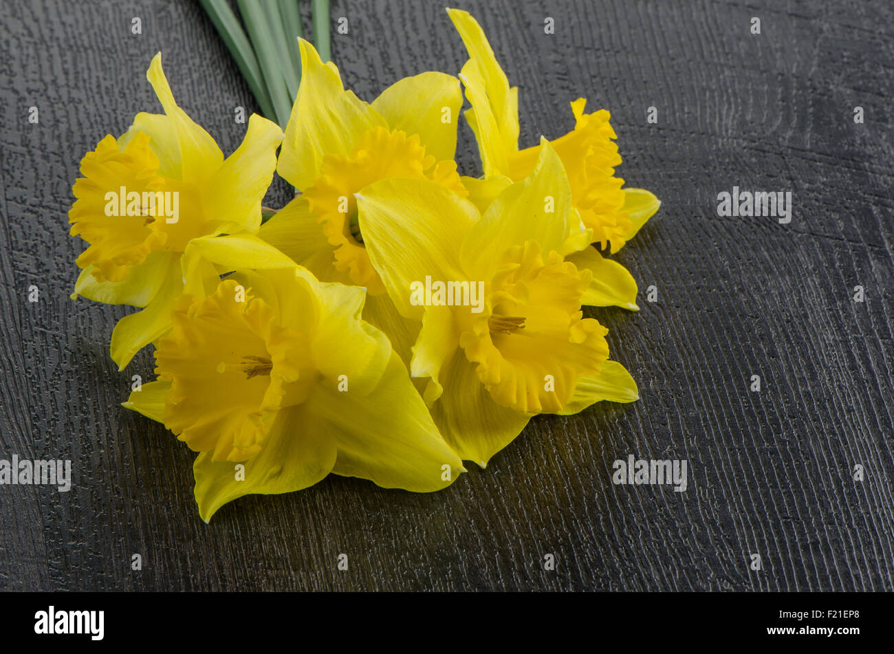Yellow jonquil flowers on dark wooden background Stock Photo - Alamy