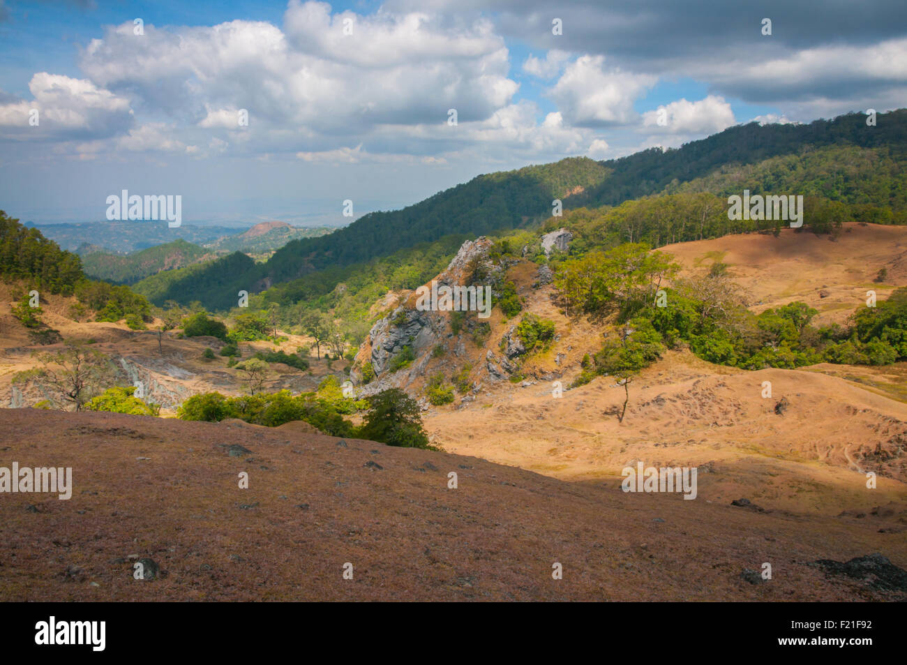 Landscape of Mount Mutis during dry season. Fatumnasi, South Central ...