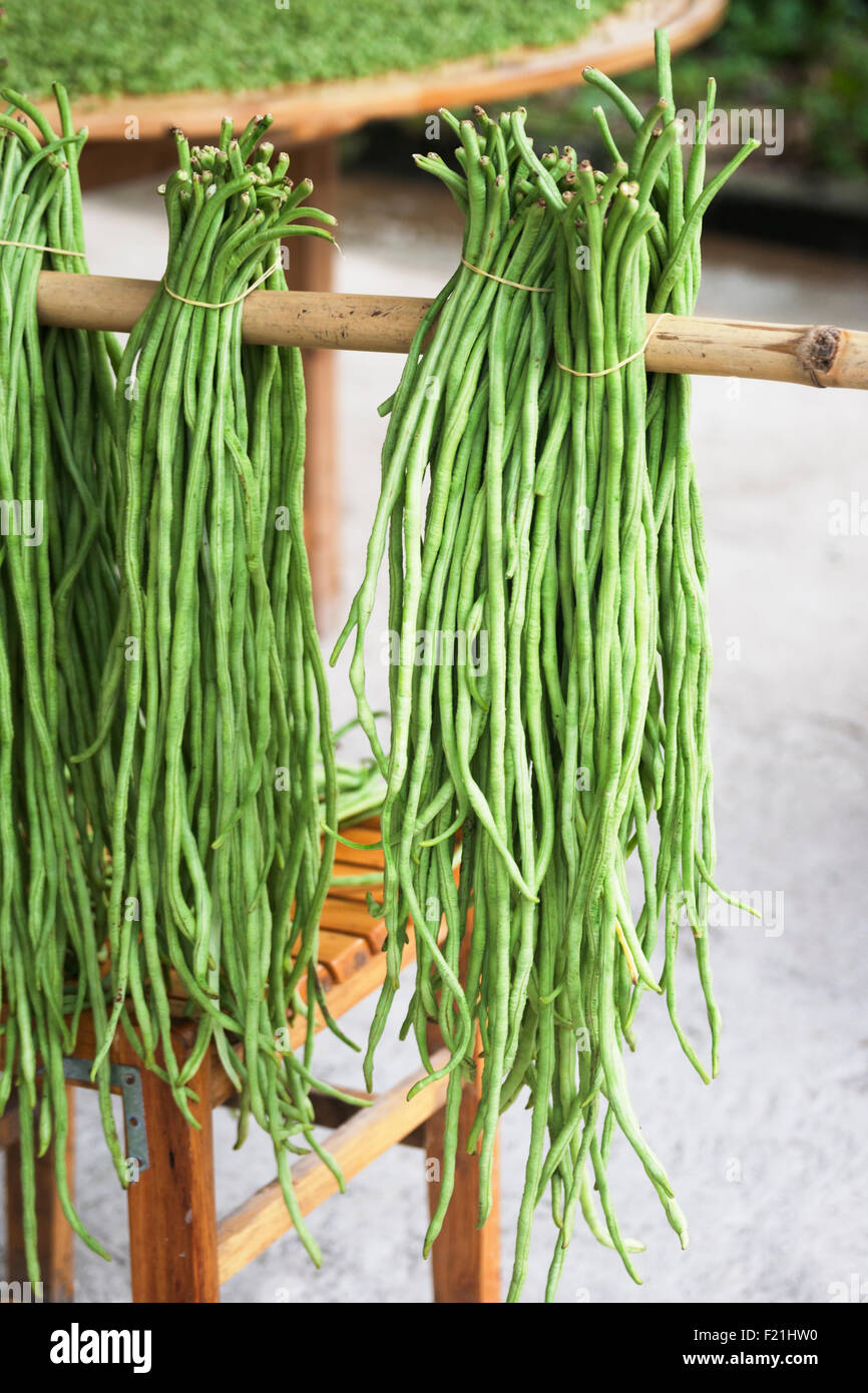 Pole beans High Resolution Stock Photography and Images - Alamy