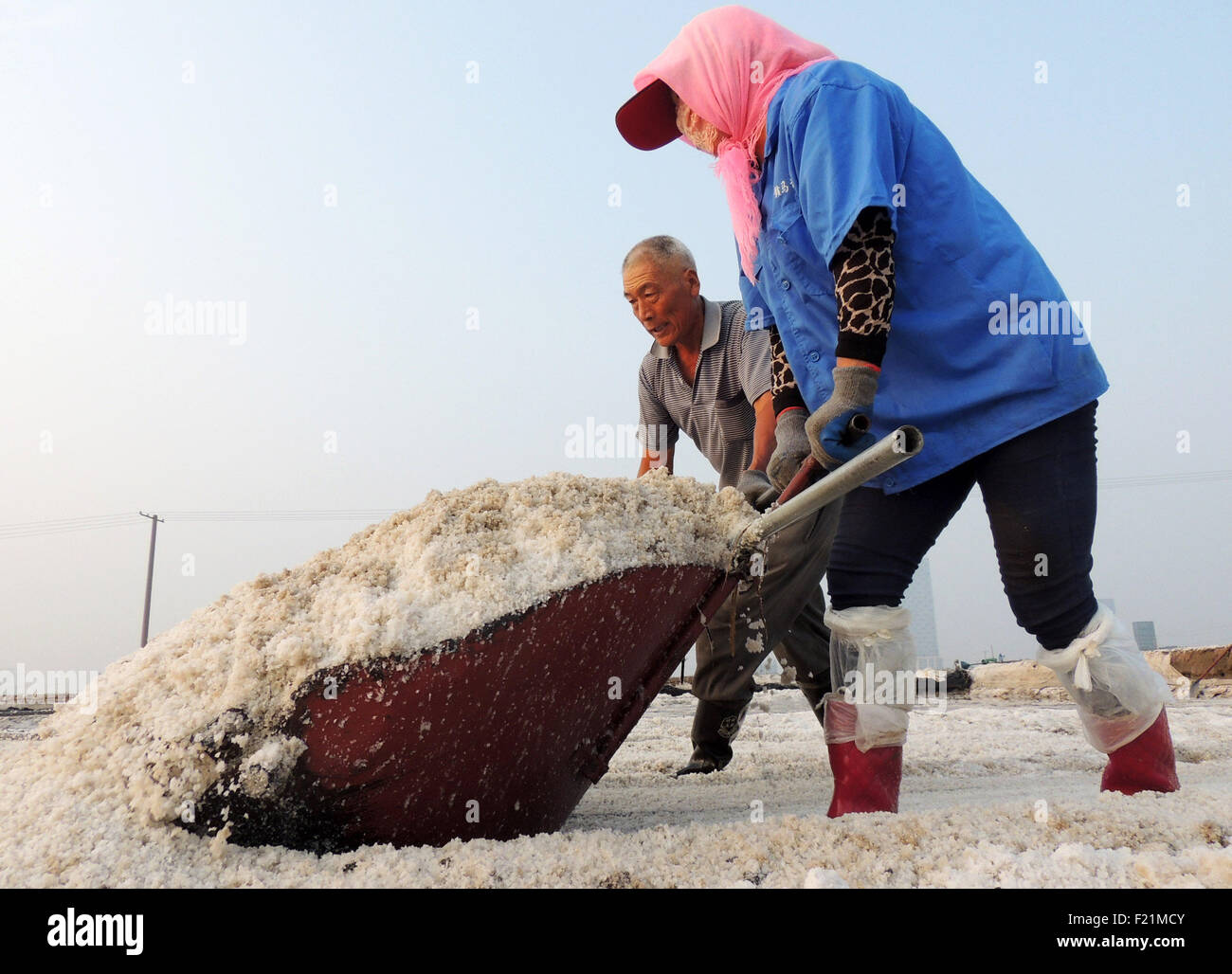 Lianyungang, China's Jiangsu Province. 10th Sep, 2015. Workers collect ...