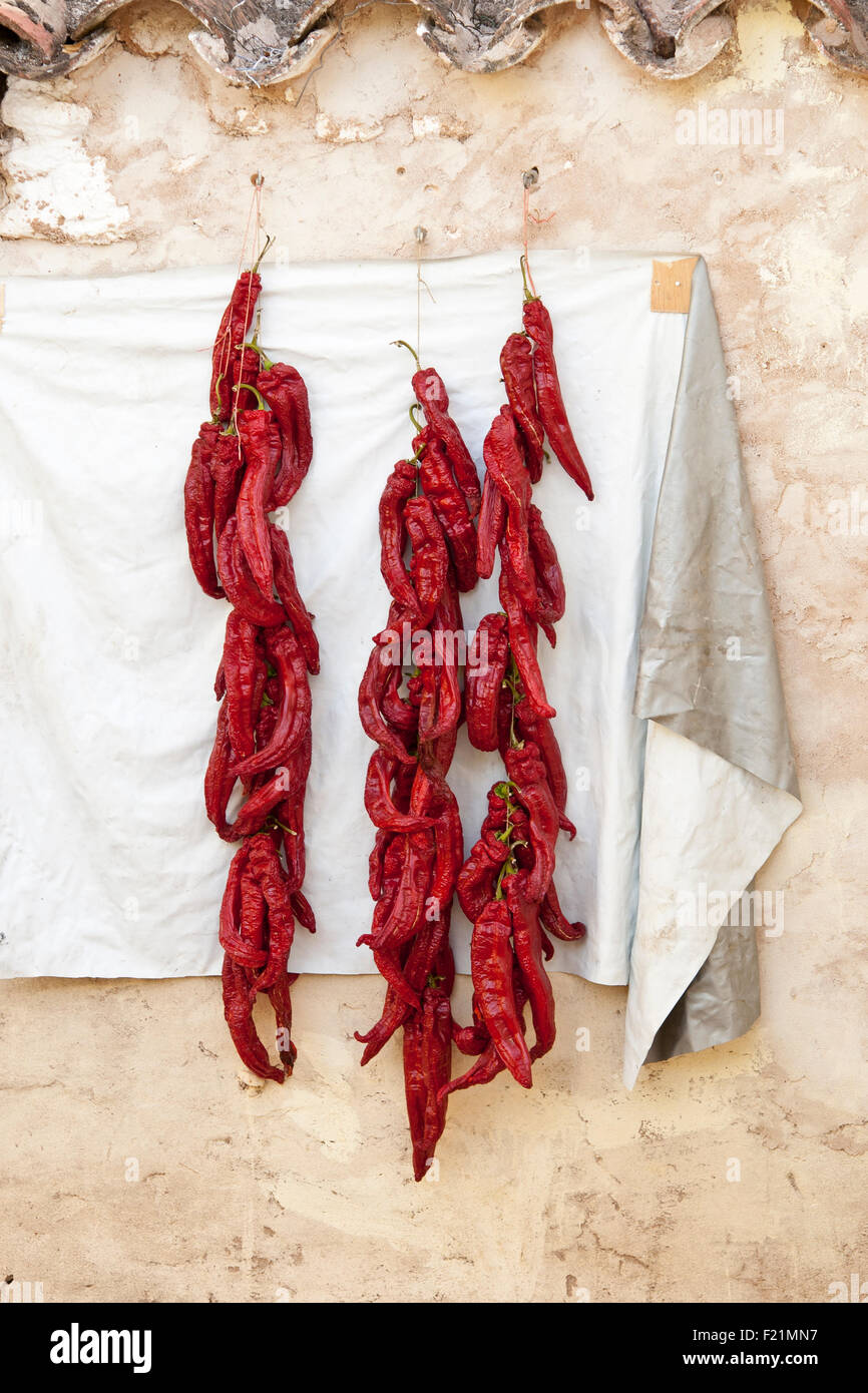 A string of red peppers drying in the sun Stock Photo - Alamy
