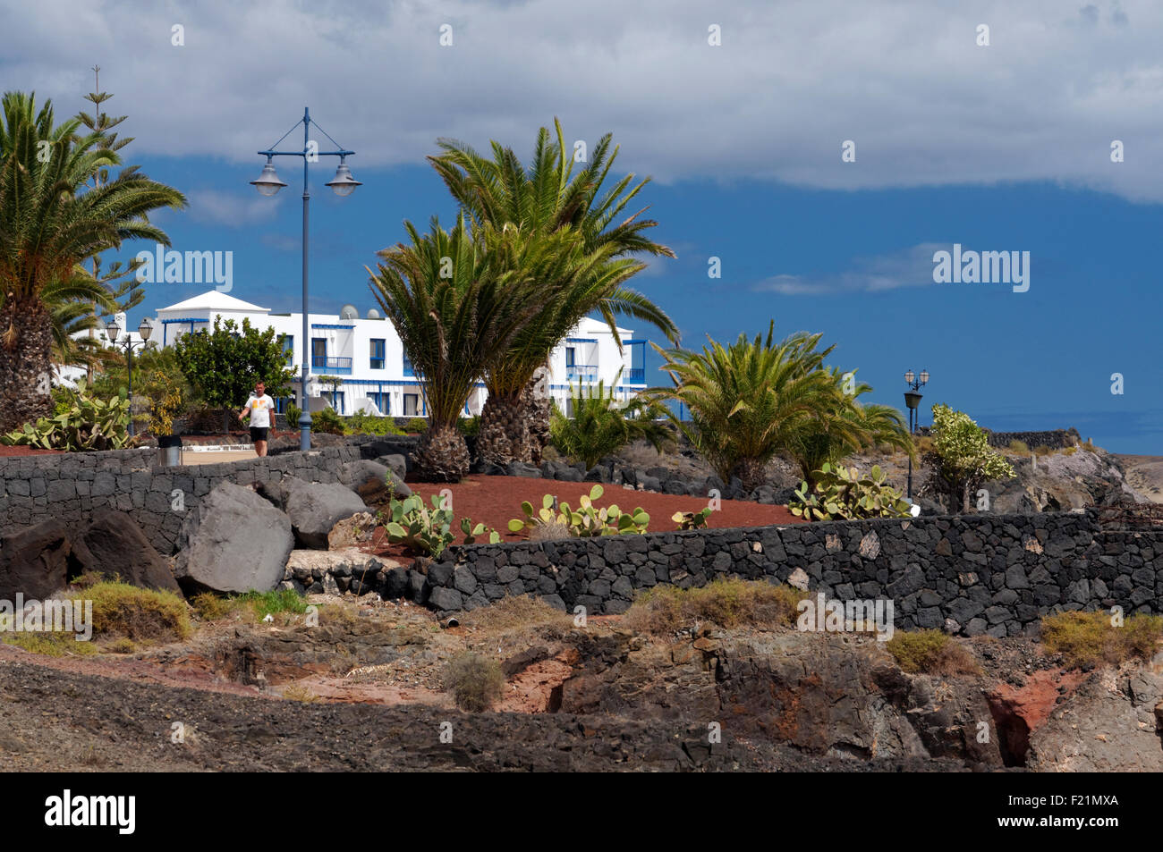 Path promenade footpath cactus hi-res stock photography and images - Alamy
