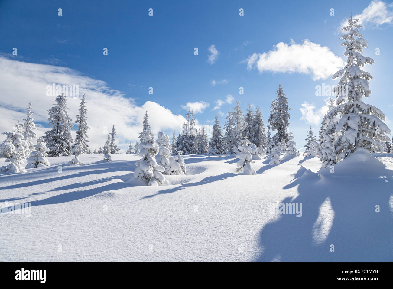 Bright sunny winter sky hi-res stock photography and images - Alamy