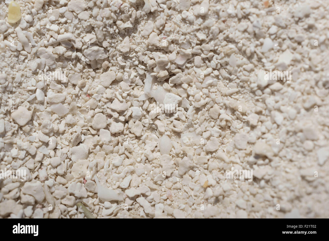 Sand background with small parts of shells and coral Stock Photo - Alamy