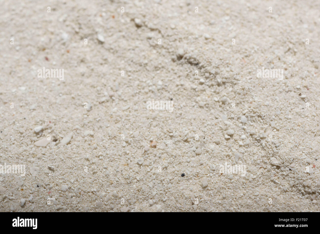 Sand background with small parts of shells and coral Stock Photo - Alamy