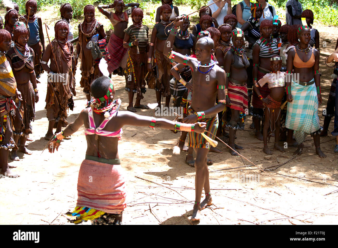 Goat in hamer tribe village hi-res stock photography and images - Alamy