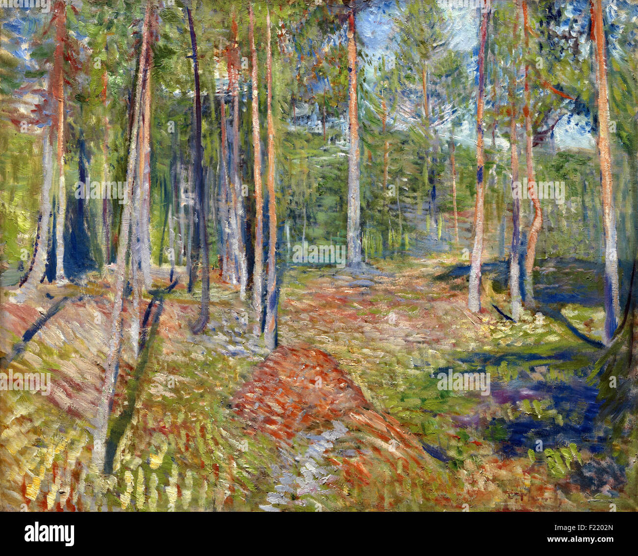 Edvard Munch - Pine Forest Stock Photo - Alamy
