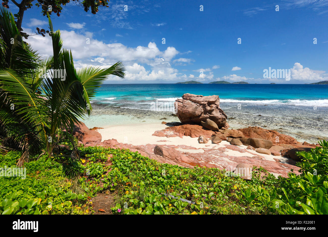 Seychelles scenic beach, La Digue Stock Photo - Alamy