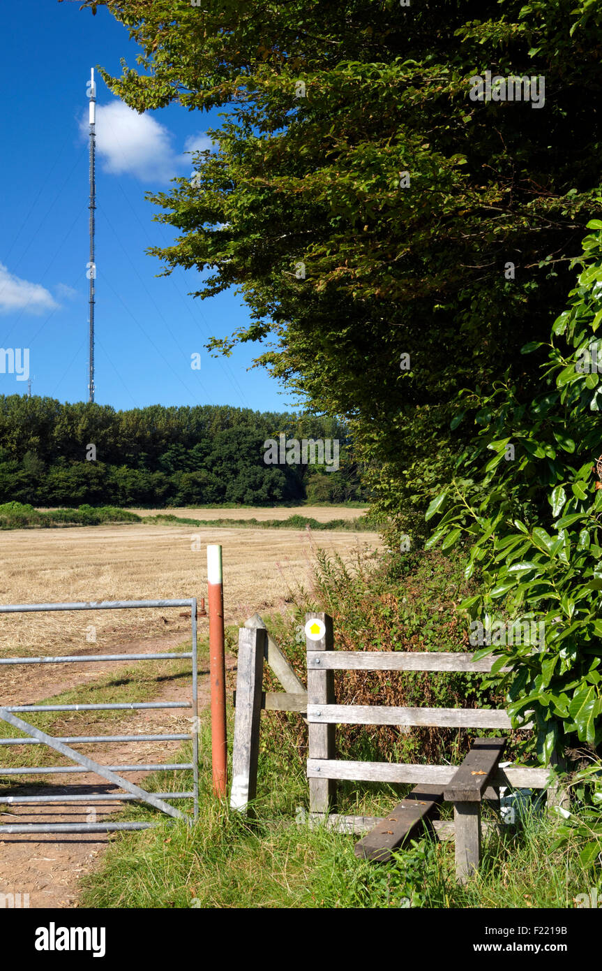 Wenvoe Mast, Cardiff, Wales, UK Stock Photo - Alamy