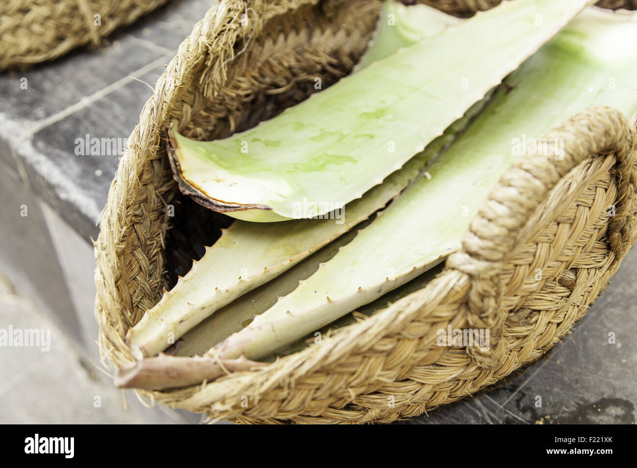 Branches of aloe vera, detail of medicinal plant, moisturizer Stock ...