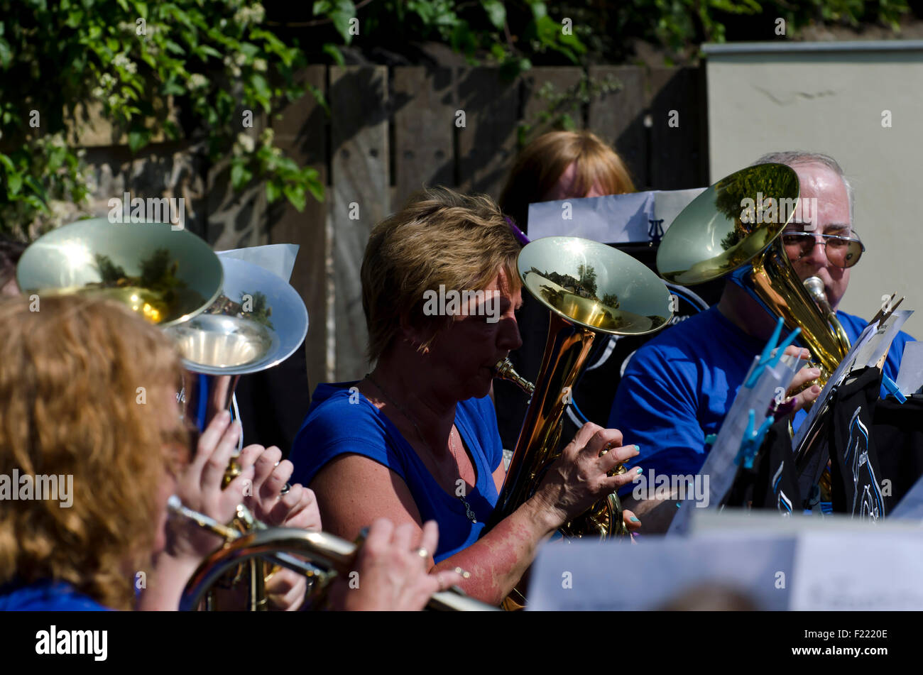 Euphonium euphoniums hi-res stock photography and images - Alamy