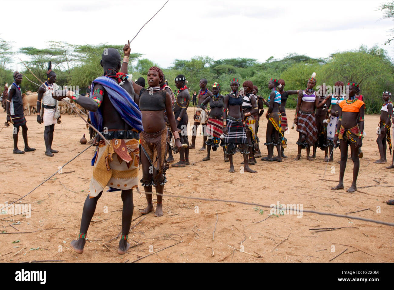Goat in hamer tribe village hi-res stock photography and images - Alamy