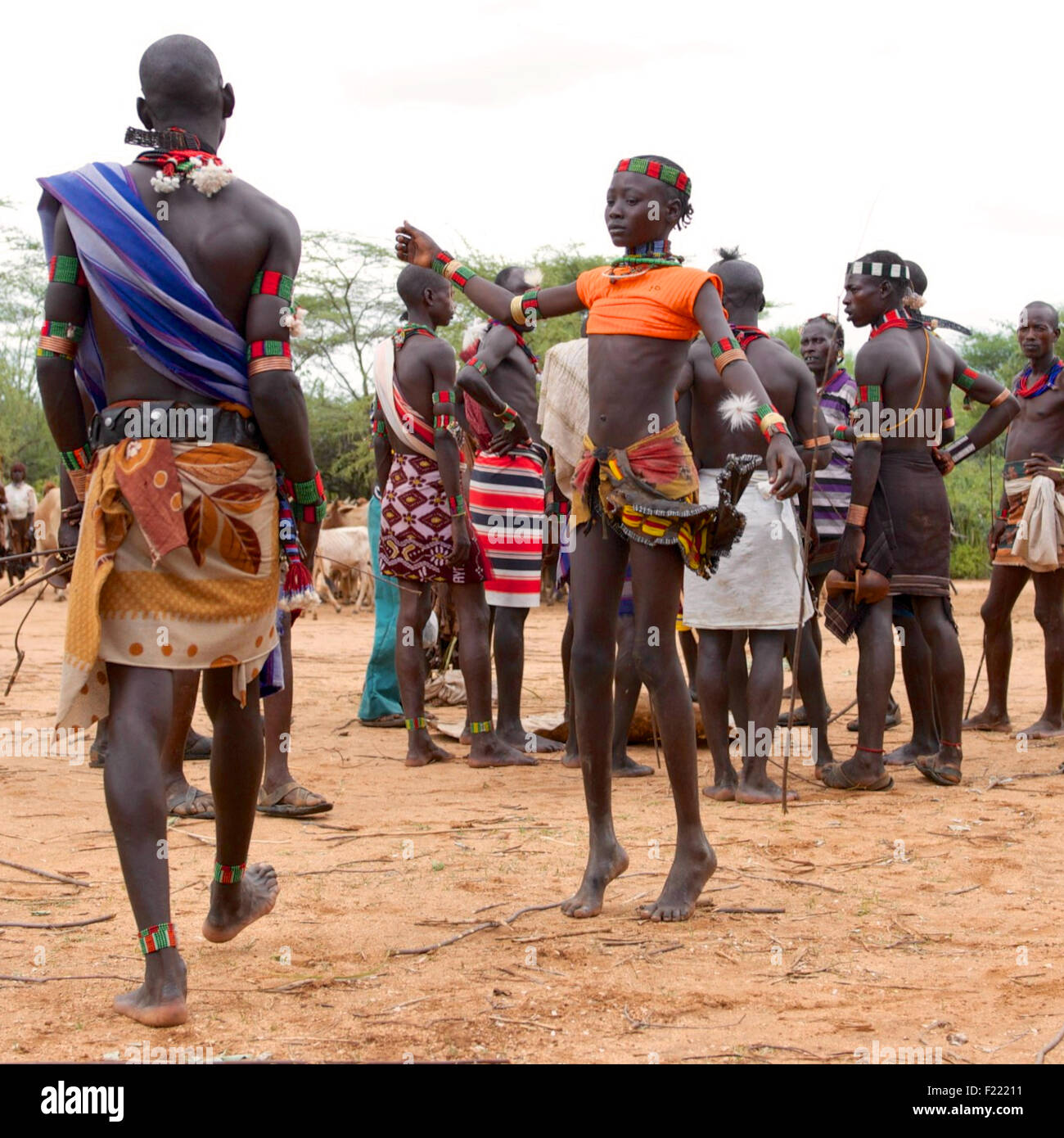 Goat in hamer tribe village hi-res stock photography and images - Alamy