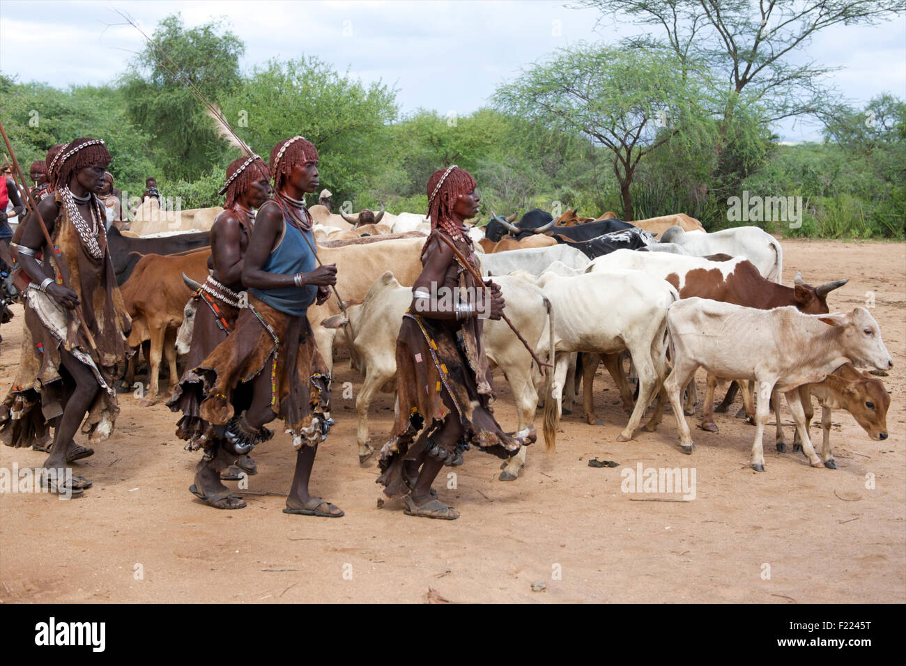 Goat in hamer tribe village hi-res stock photography and images - Alamy
