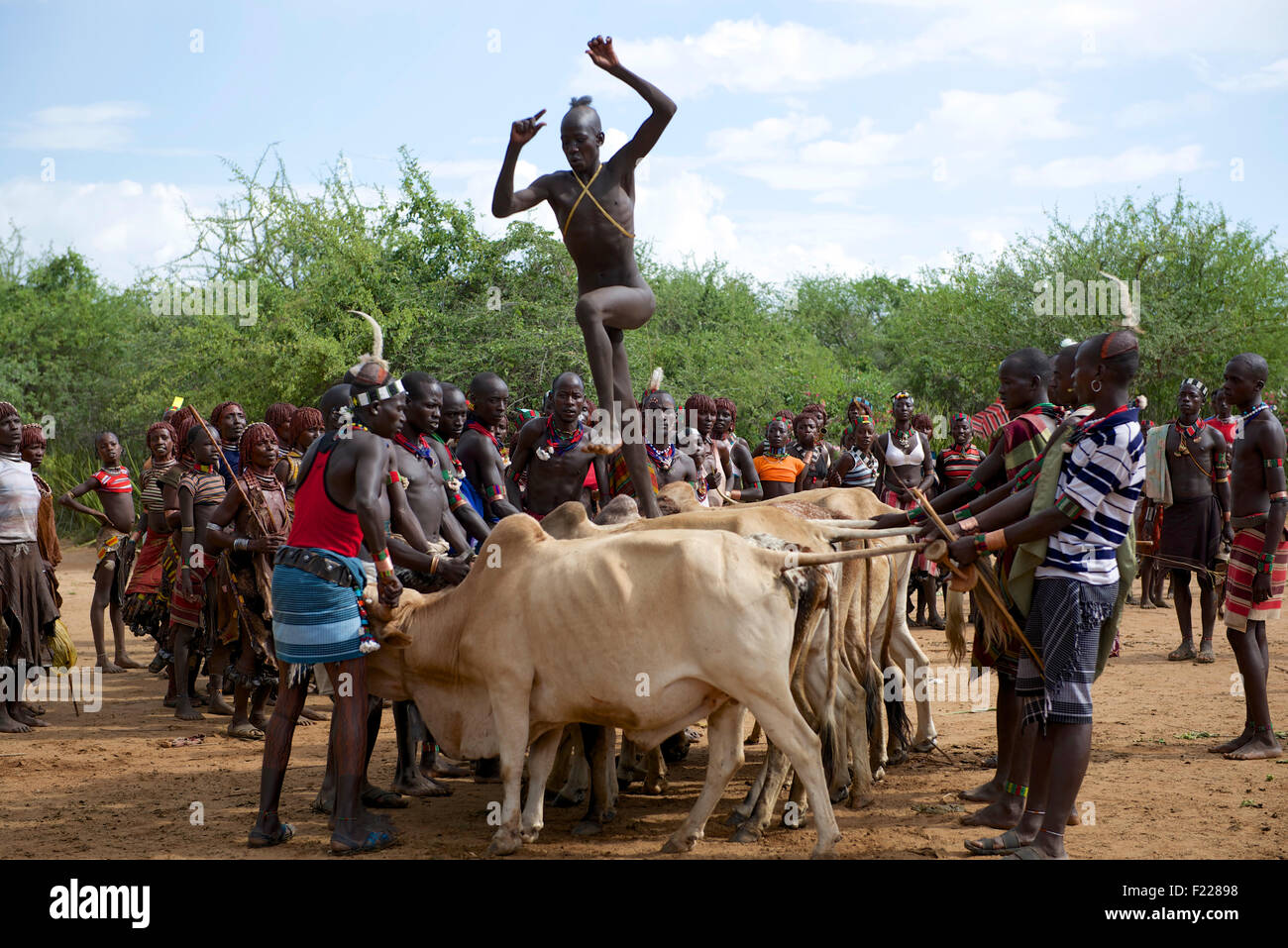 Goat in hamer tribe village hi-res stock photography and images - Alamy