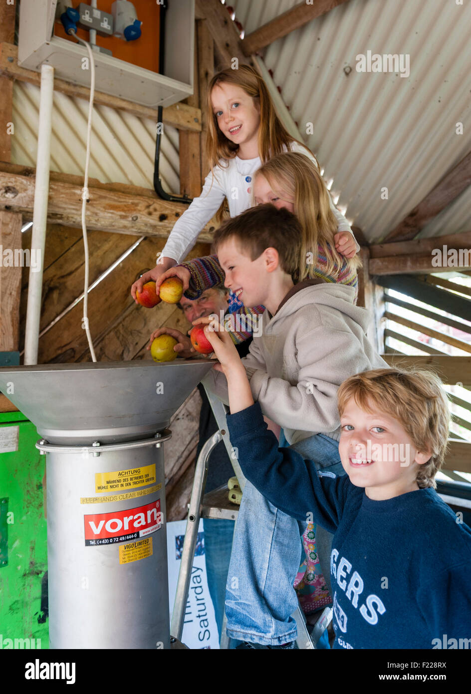 Pressing apples hi-res stock photography and images - Alamy