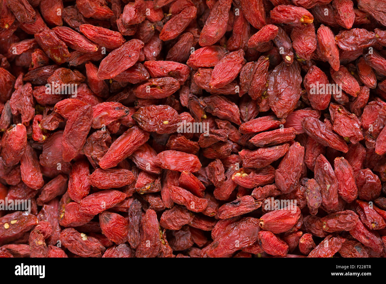 Goji berry shrub hi-res stock photography and images - Alamy