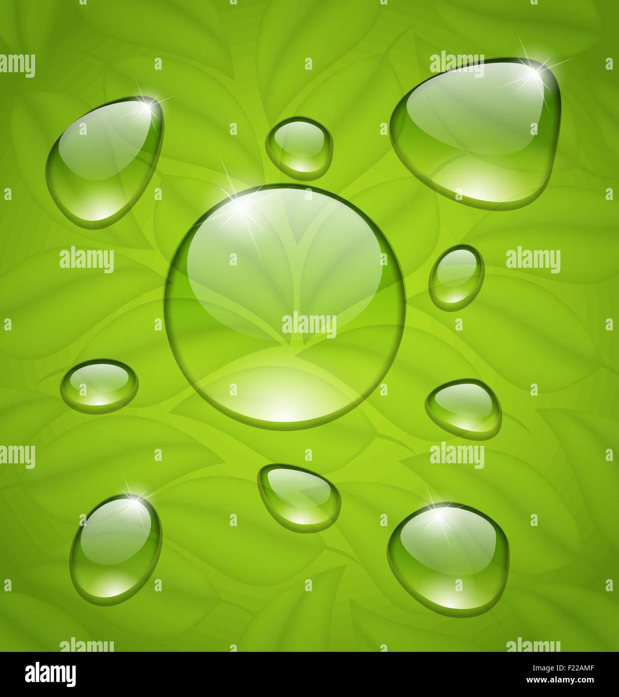 Rain water drops leaves Stock Vector Images - Alamy