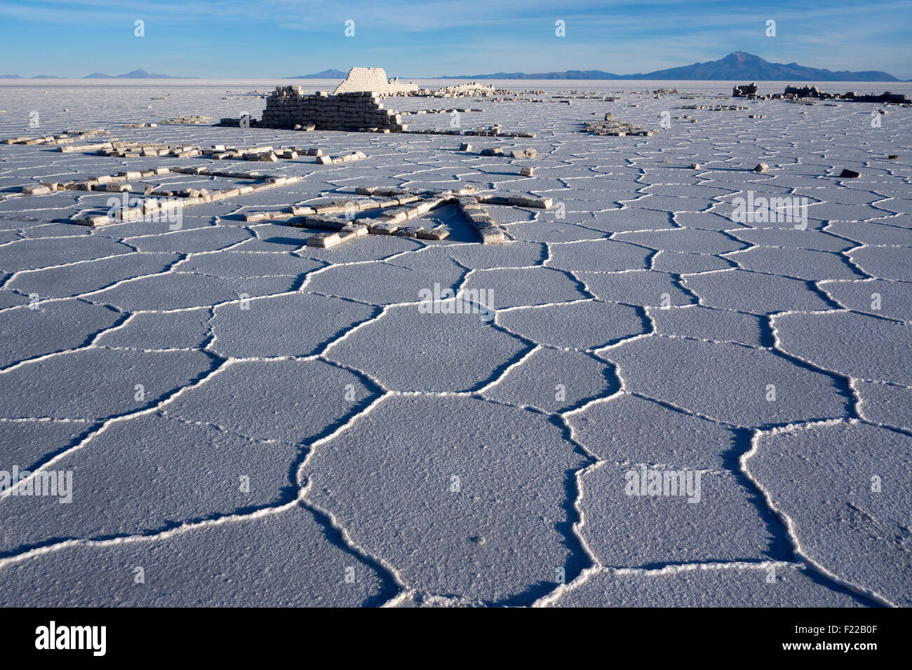 Salt hexagons. Salar de Uyuni. Bolivia Stock Photo - Alamy