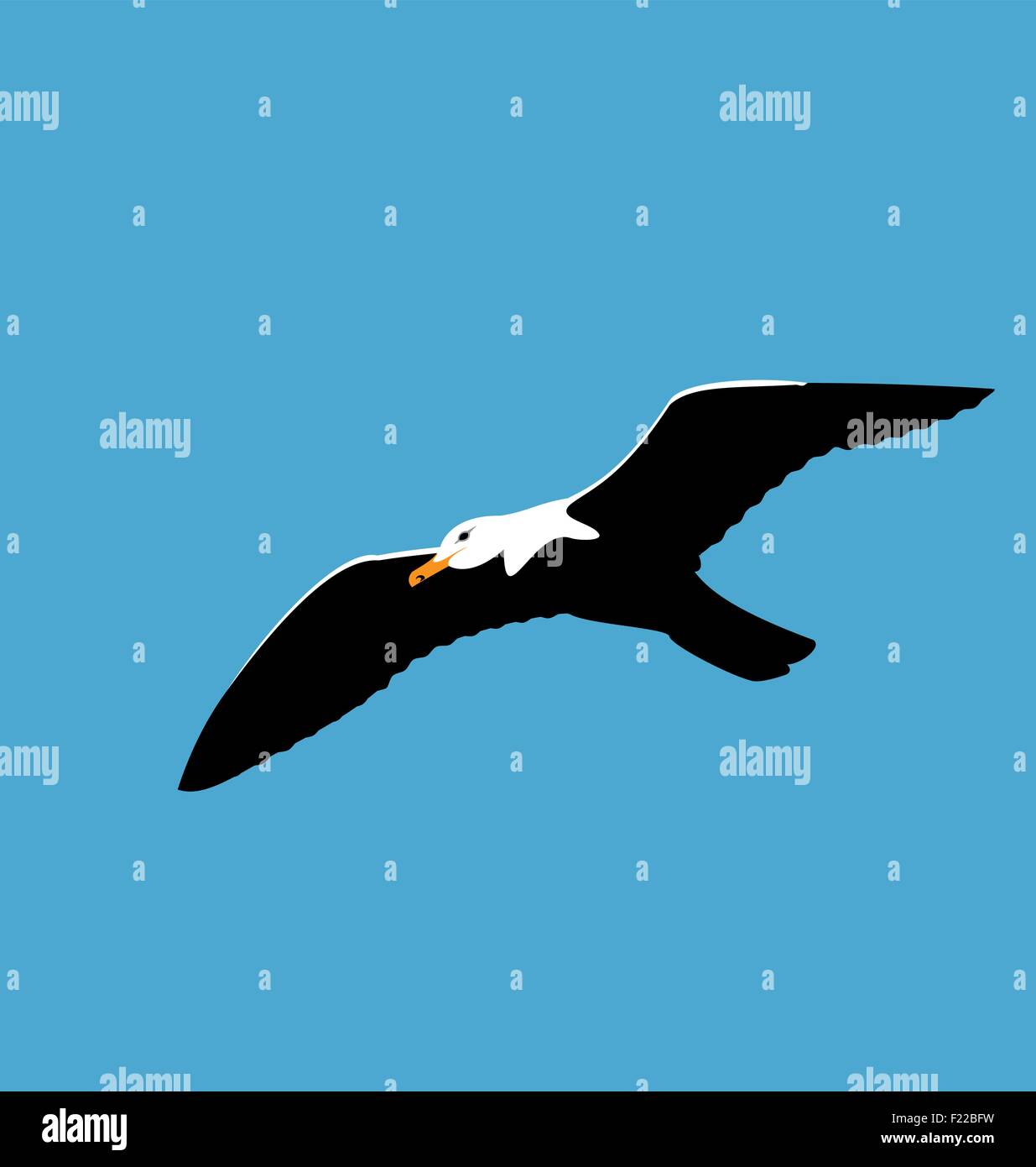 Migrating seabird Stock Vector Images - Alamy