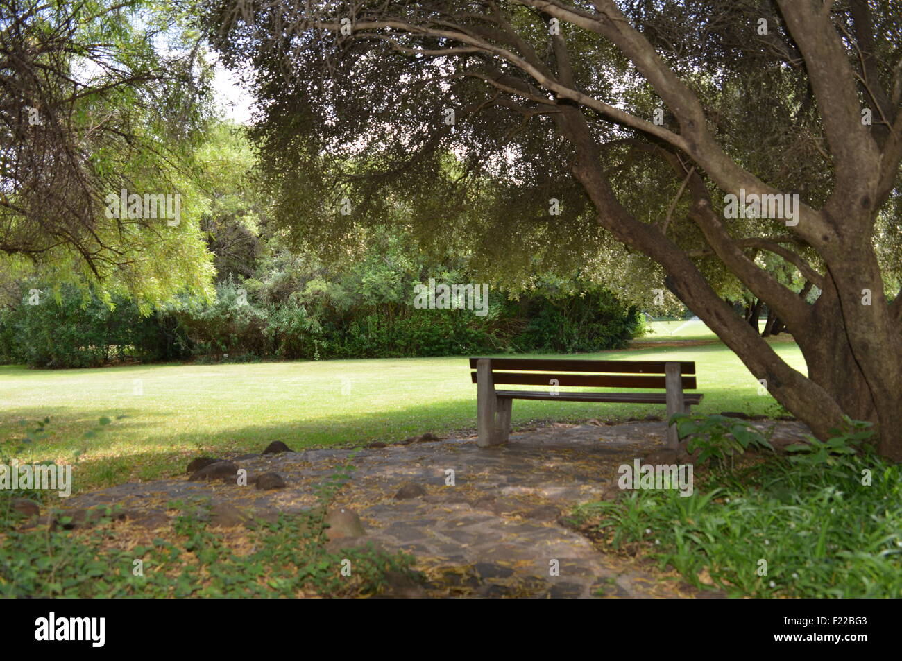 Nature, Landscape - A bench in shaded garden Stock Photo - Alamy