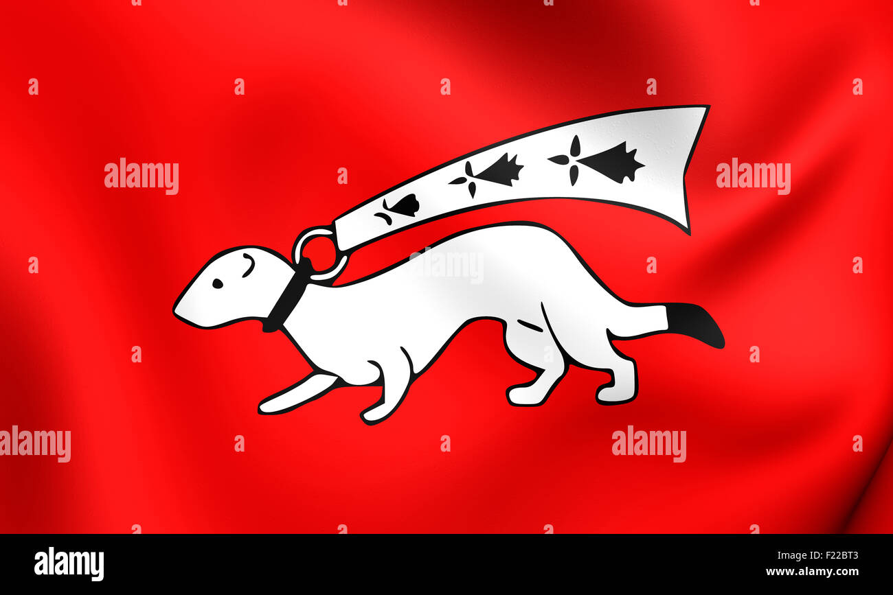 3d flag of the vannes hi-res stock photography and images - Alamy