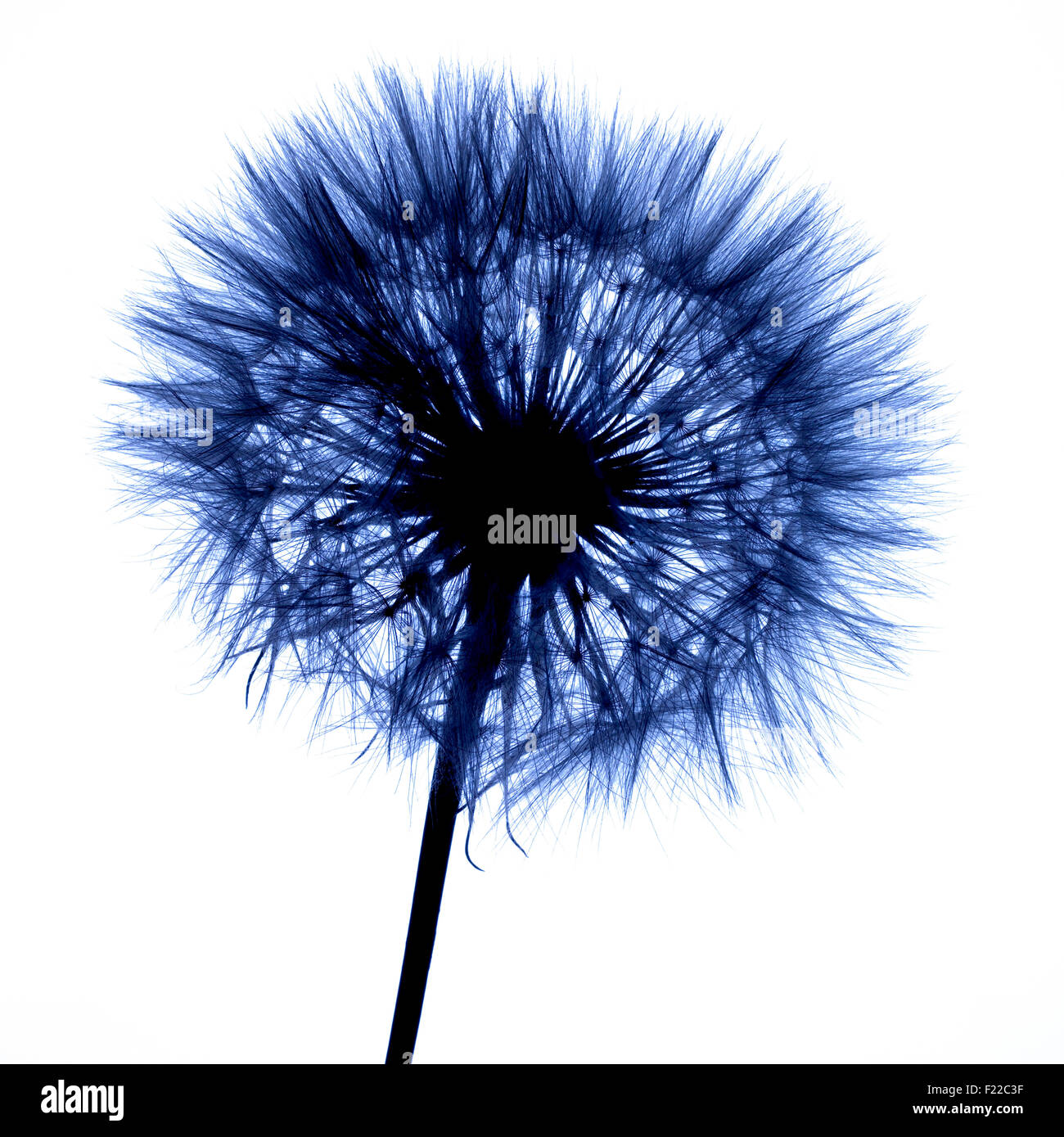 Square format square format Cut Out Stock Images & Pictures - Alamy