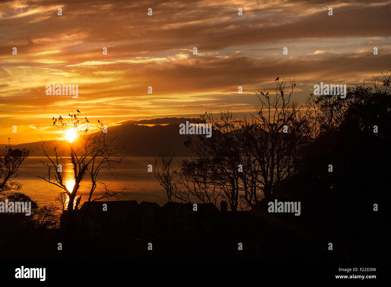 Island of Arran sunset with birds silhouette Stock Photo - Alamy