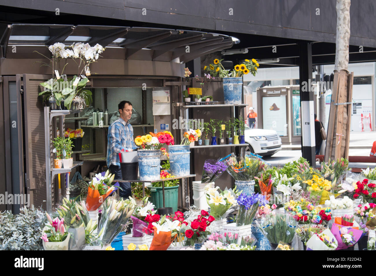 Man selling flowers from his stall in Martin Place,Sydney, New South ...