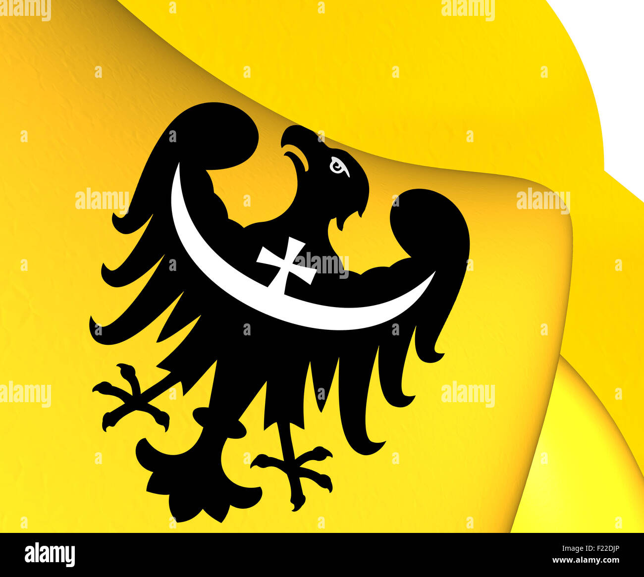 Flag of Lower Silesian Voivodeship, Poland. Close Up Stock Photo - Alamy
