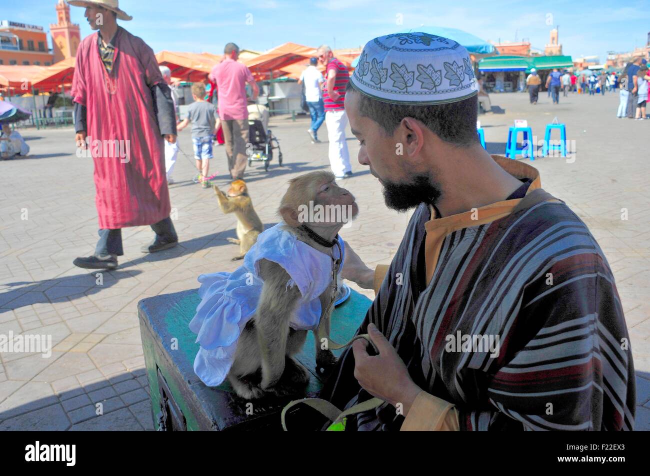 Macaque and Handler Jemma Al Fna Marrakech Stock Photo - Alamy