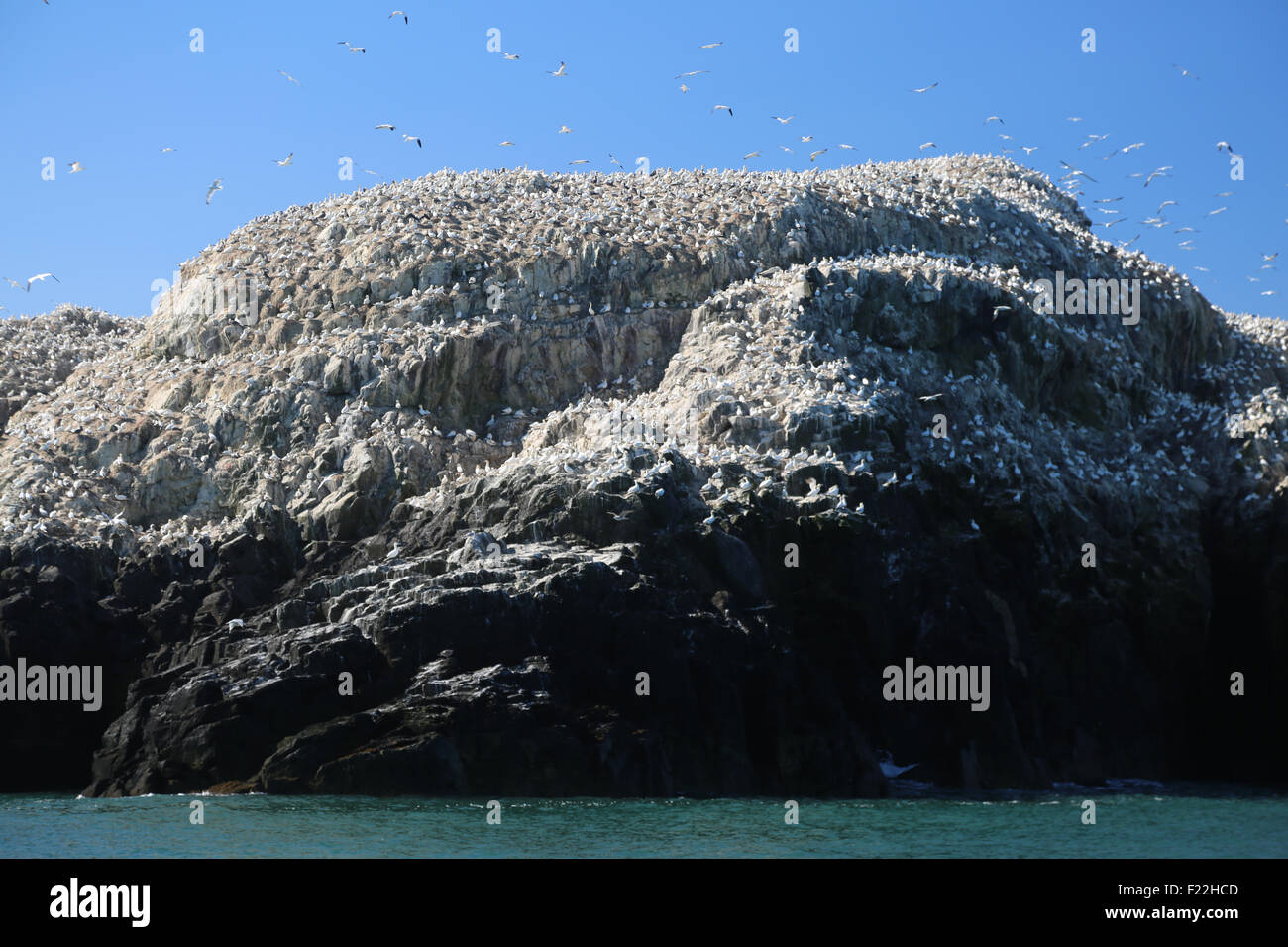 Grassholm Island, Pembrokeshire Stock Photo - Alamy