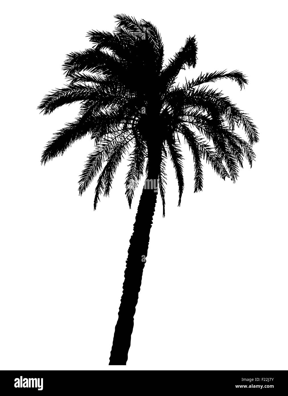 silhouette of palm trees realistic vector illustration isolated on ...