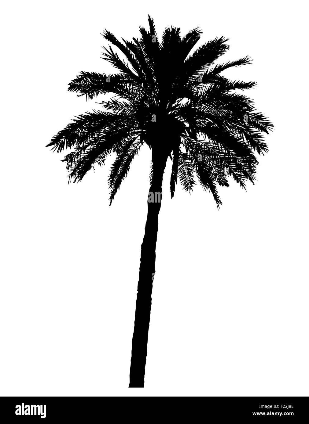 silhouette of palm trees realistic vector illustration isolated on ...