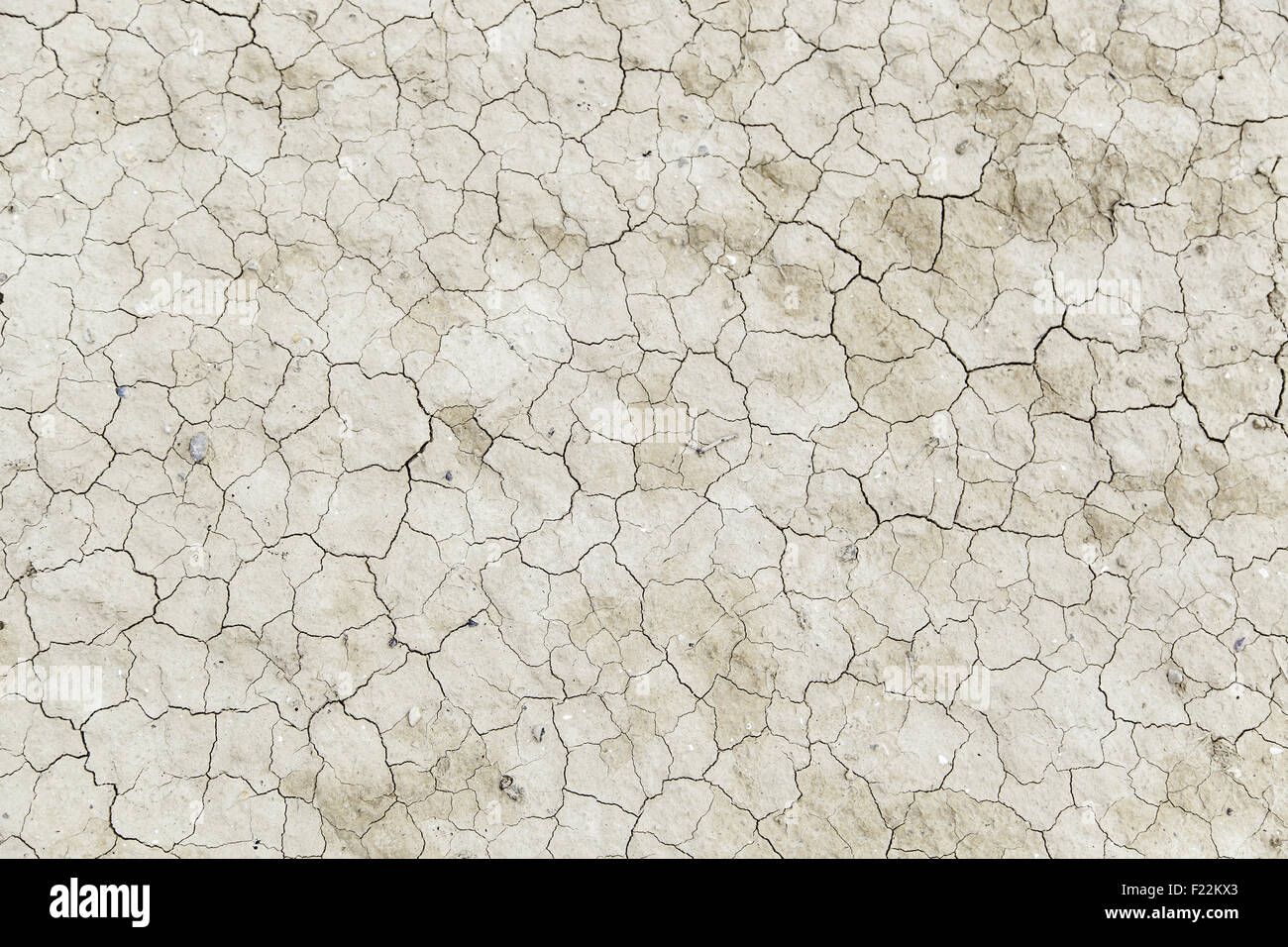 Dry earth ecological disaster, detail of climate change, drought and ...