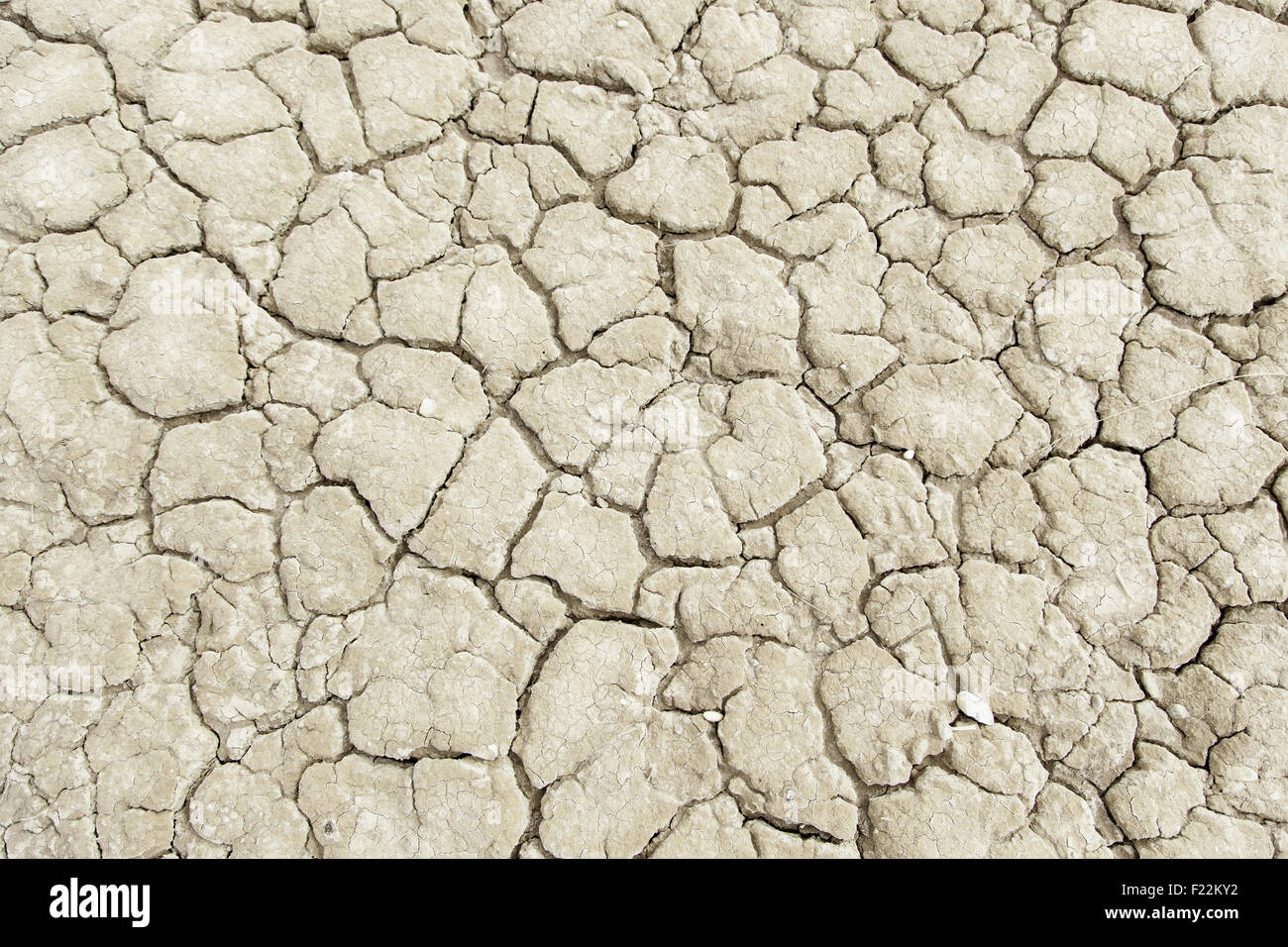 Dry earth ecological disaster, detail of climate change, drought and ...