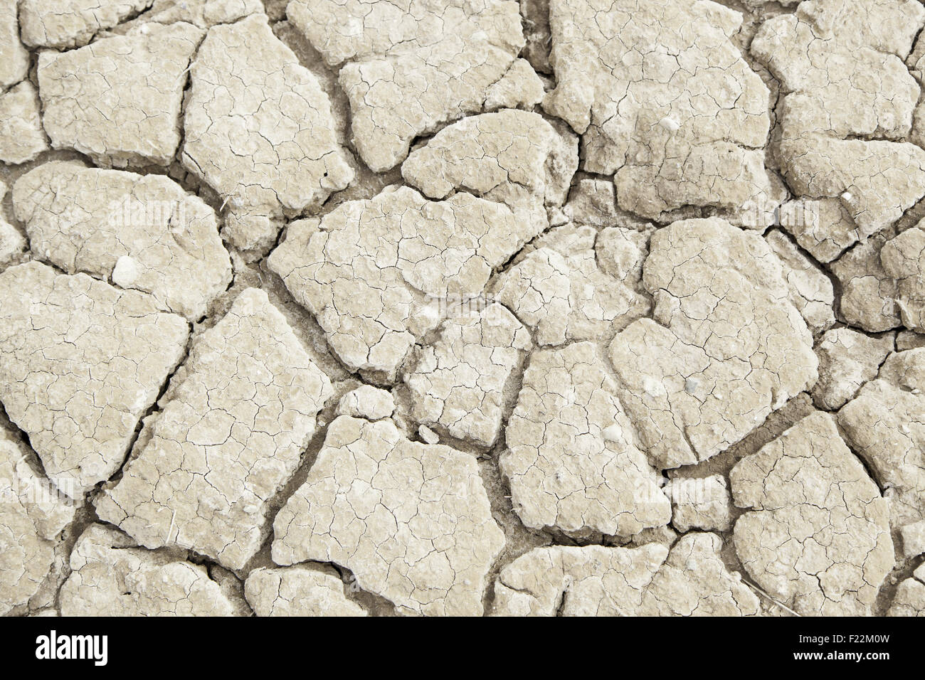 Dry earth ecological disaster, detail of climate change, drought and ...