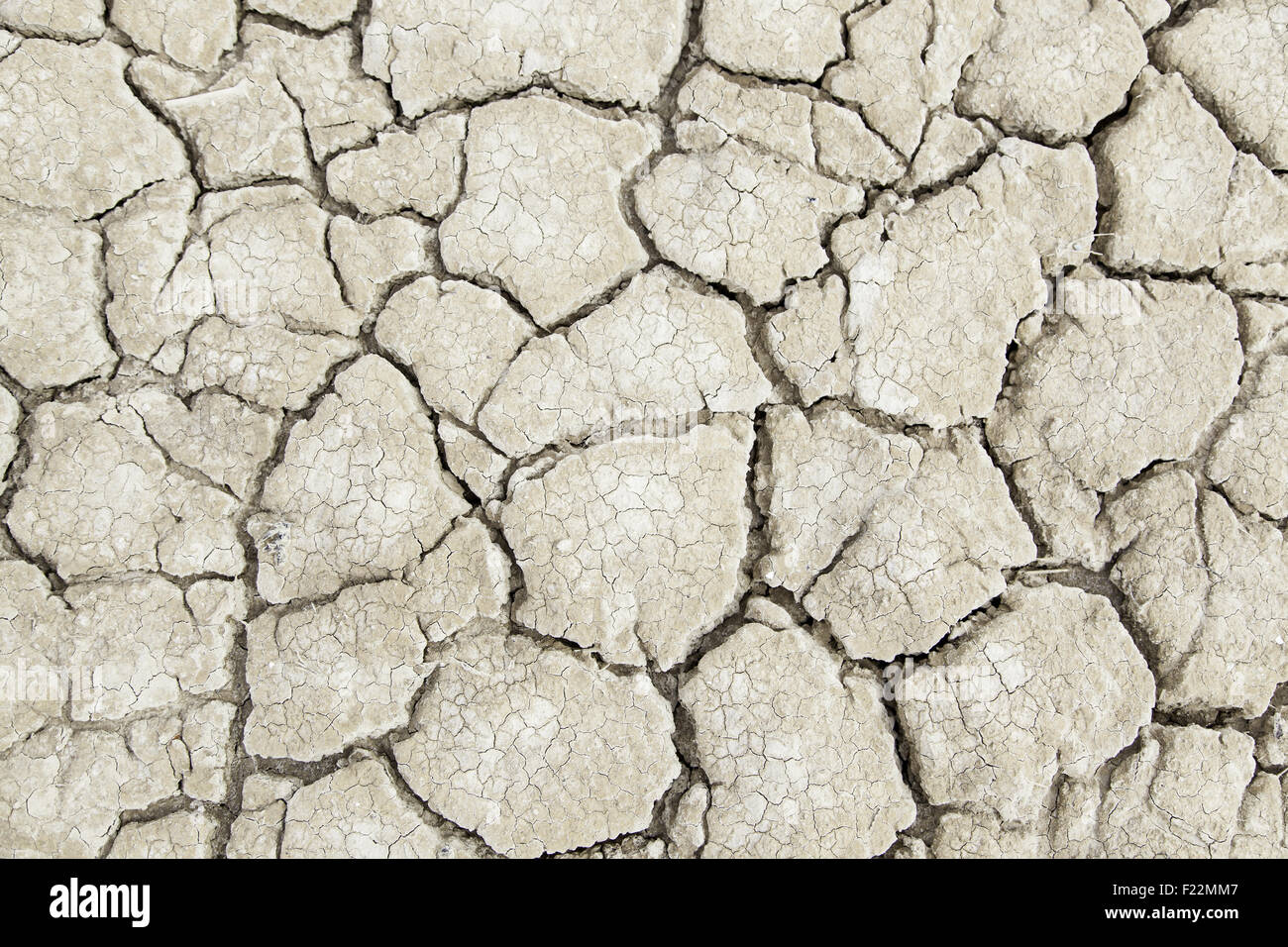 Dry earth ecological disaster, detail of climate change, drought and ...