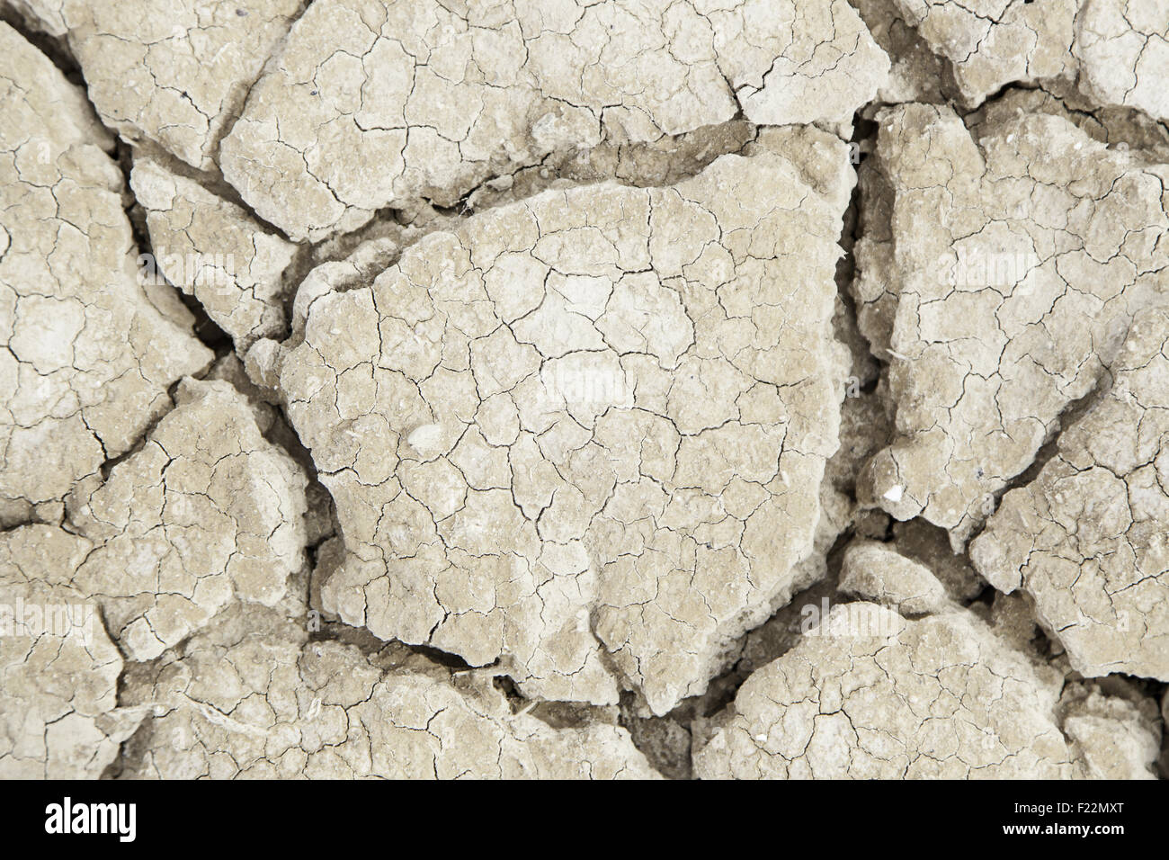 Dry earth ecological disaster, detail of climate change, drought and ...