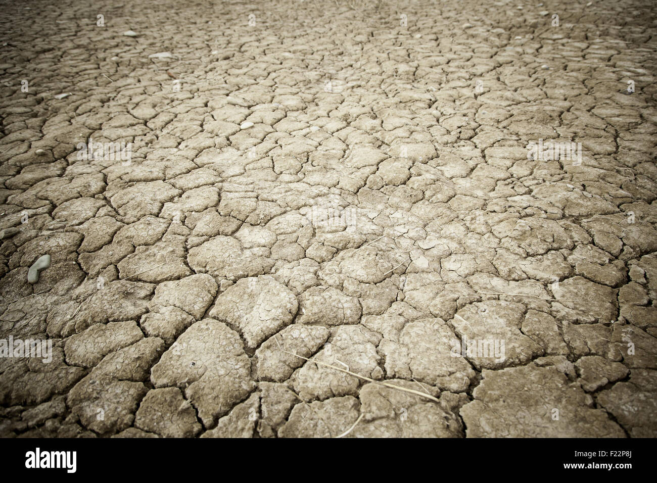Dry earth ecological disaster, detail of climate change, drought and ...