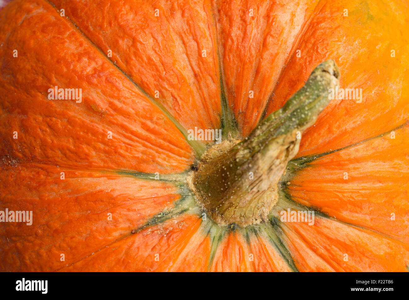 Fresh pumpkin close up, top view Stock Photo - Alamy