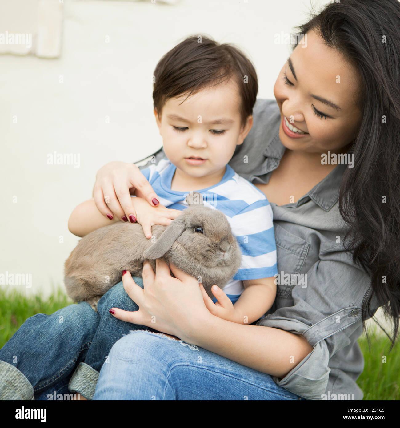Rabbit petting hi-res stock photography and images - Alamy
