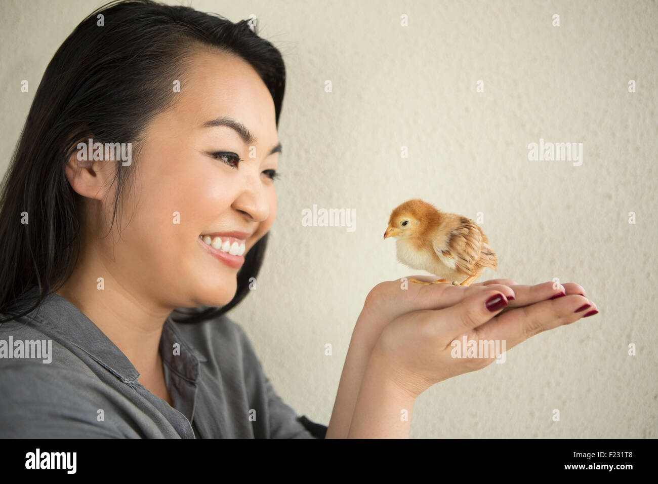 Smiling woman holding a tiny chick in her hands Stock Photo - Alamy