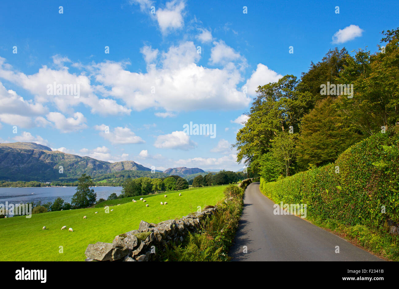 Road next to Coniston lake, Lake District National Park, Cumbria ...