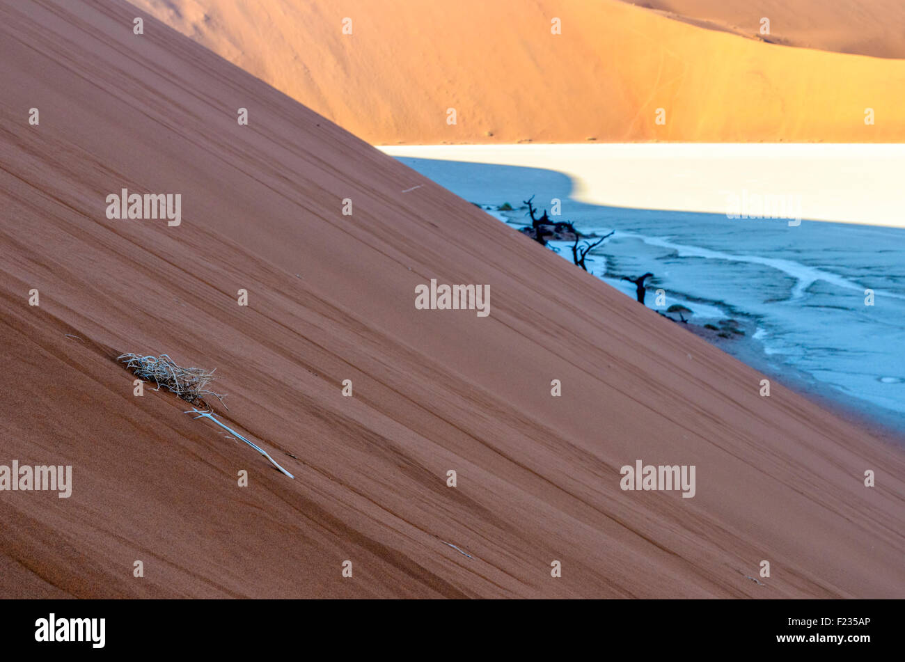 Dead dune hi-res stock photography and images - Alamy