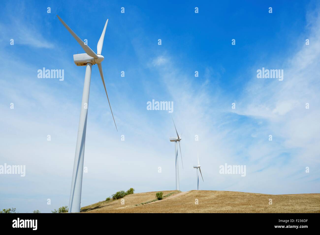 group of windmills for renewable electric energy production Stock Photo ...