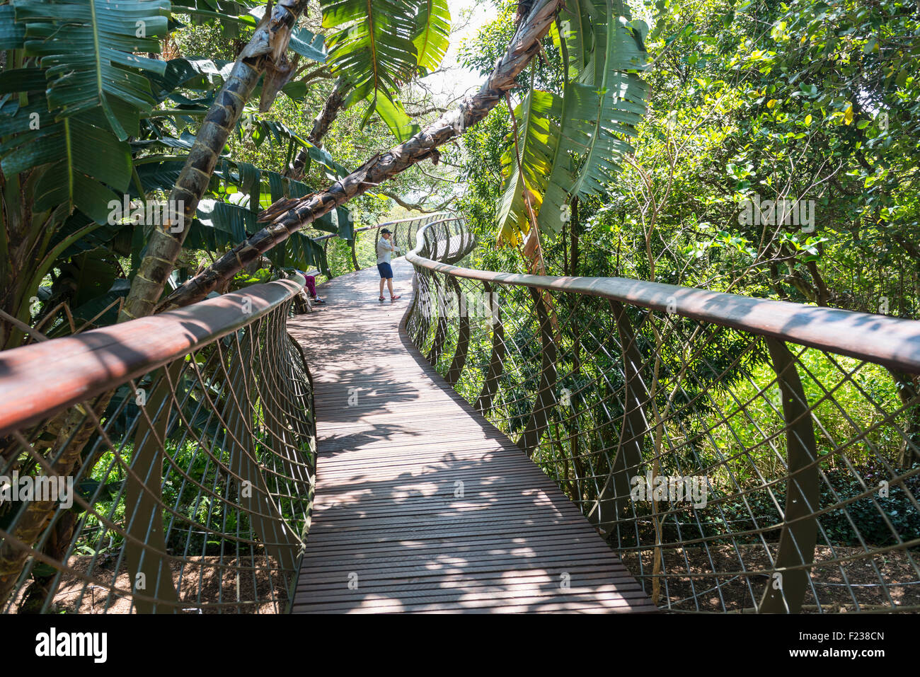 Canopy walk. Cape Town, South Africa Stock Photo - Alamy
