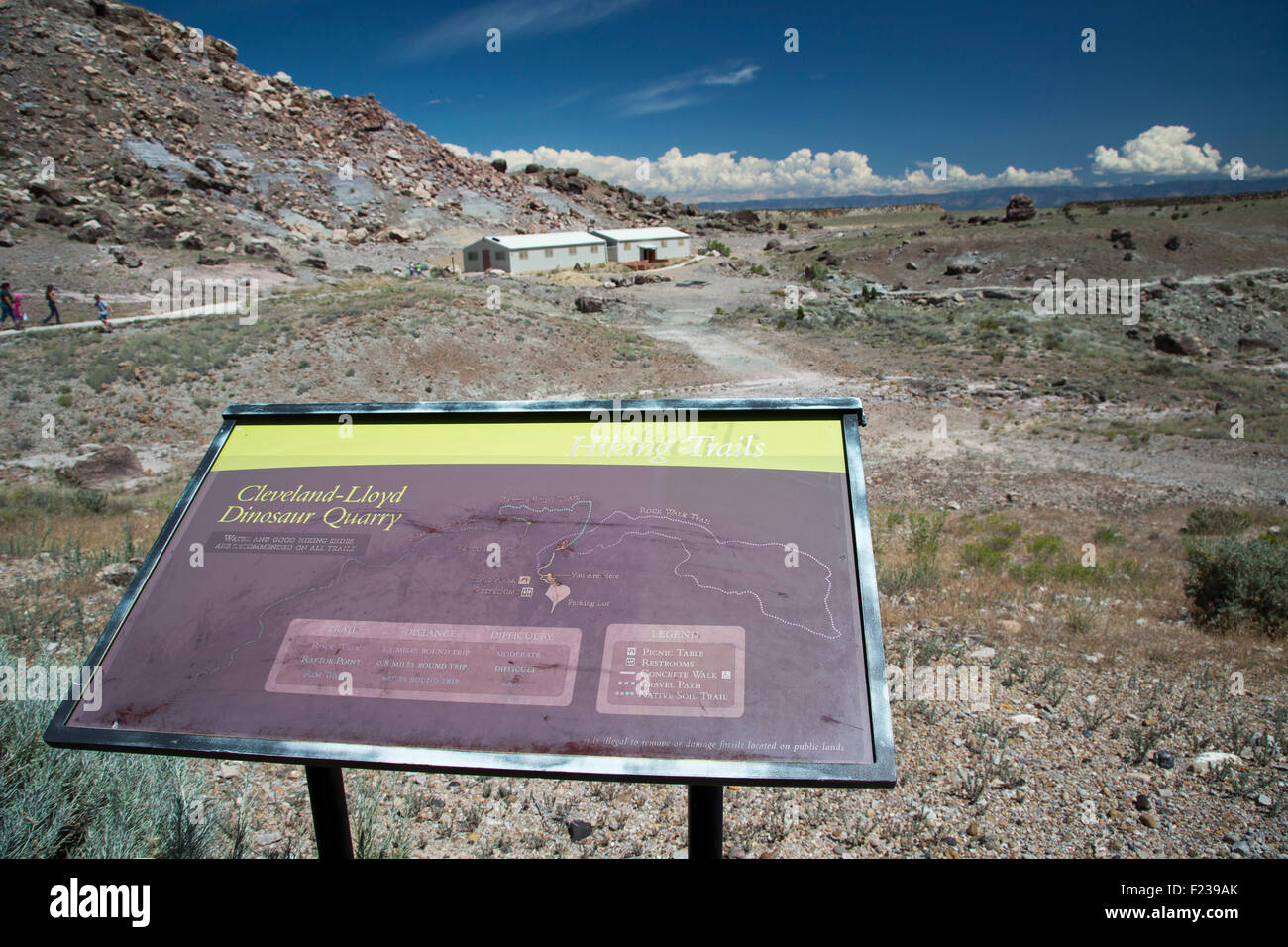 Dinosaur bones fossils hi-res stock photography and images - Alamy